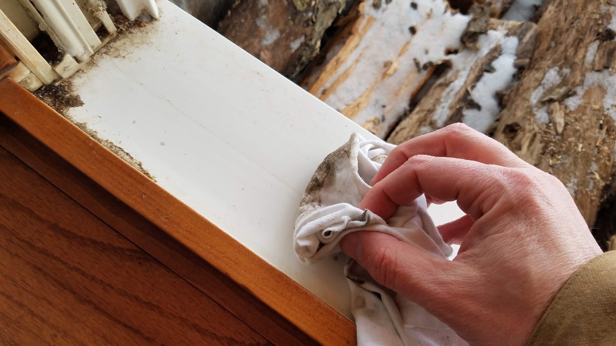 How to Fix a Window that Freezes Shut – Practical Mechanic